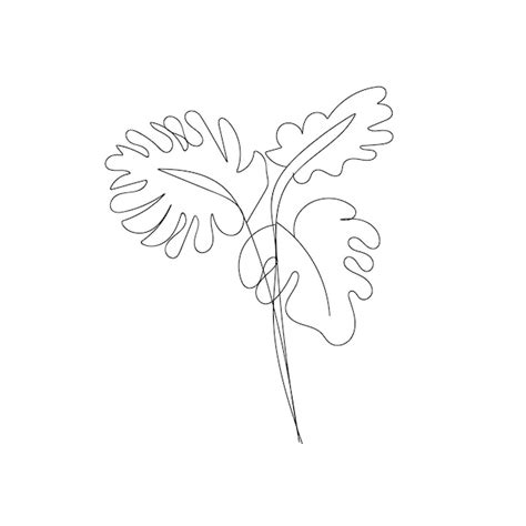 Premium Vector Hand Drawn Monstera Leaf Outline Illustration