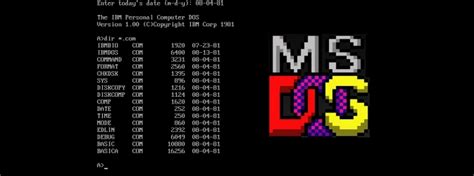 Первые версии Ms Dos и Ms Word 10 теперь музейные экспонаты