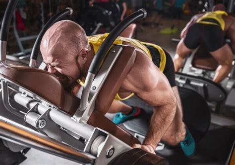 ¿qué Es La Sentadilla Hack Inversa Guía Completa 2026