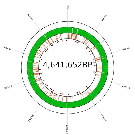 Pec Profiling Of Li Chromosome