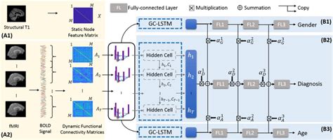 Figure 1 From Ds Gcns Connectome Classification Using Dynamic Spectral Graph Convolution