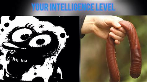 Spongebob Becoming Uncanny Your Intelligence Level Youtube