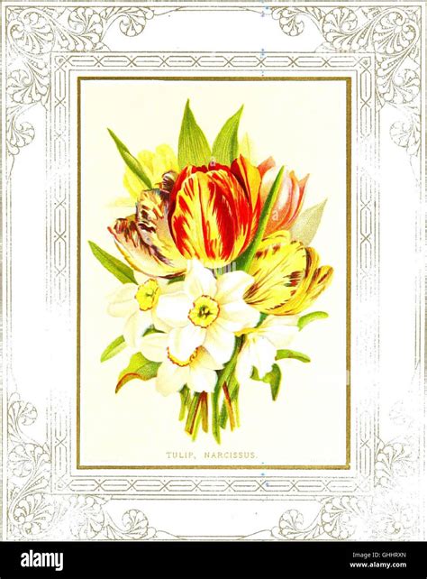 This 1877 Work Explores The Symbolic Meanings Behind Various Flowers