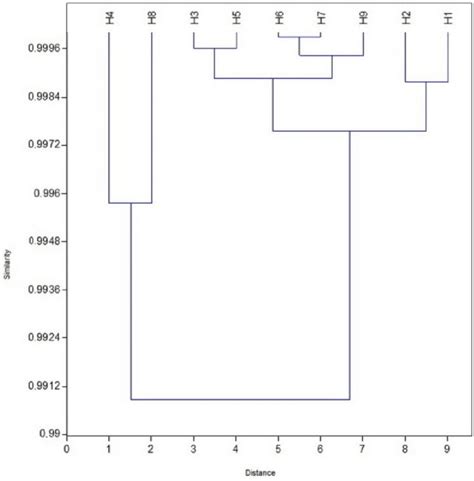 dendrogram of components correlations from table 1 of nine buckwheat