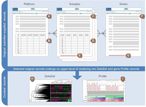 Gene Expression Omnibus Geo Database Overview