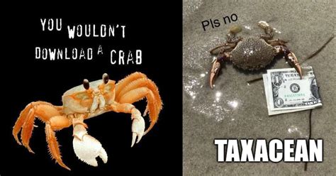 Crab Memes 40 Hilariously Weird Gems About Crabs