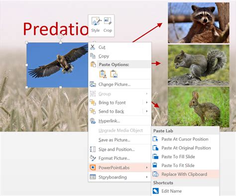 Paste Lab User Guide Powerpointlabs