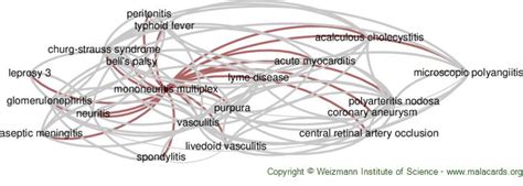 Mononeuritis Multiplex Disease Malacards Research Articles Drugs