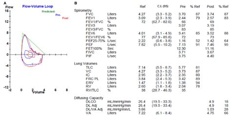 Normal Tlc Pft At Eric Massey Blog