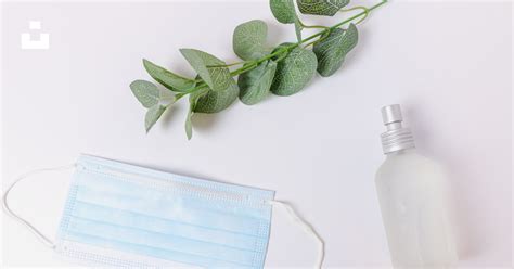 흰색 병 옆에 녹색 잎 사진 Unsplash의 무료 손 소독제 이미지