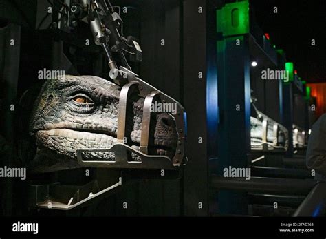 Ein Velociraptor Bei Der Fütterung Bei Der Presse Preview Anlässlich