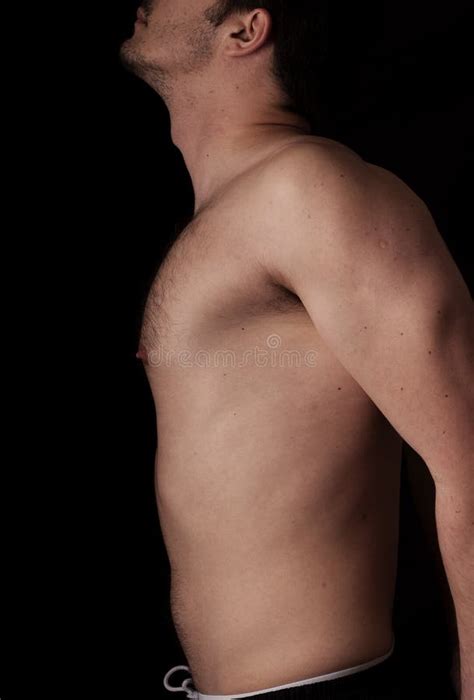 Torso Stock Image Image Of Male Side Physical Palpatory 38609267