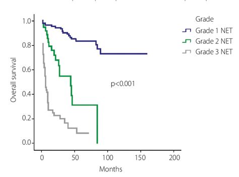 Comparison Of The Survival Analyses In Grade 1 Grade 2 And Grade 3