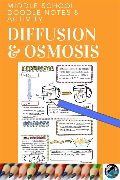 Diffusion And Osmosis Science Interactive Notebook Sketch Notes Lab