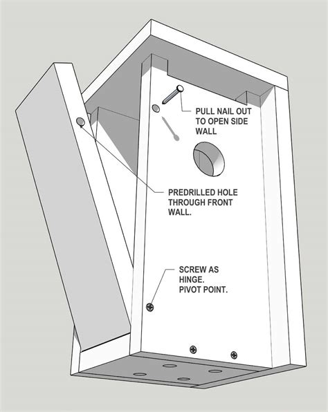 Bluebird House Plans Unique