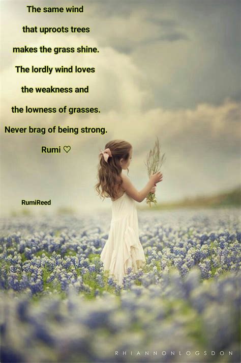 Pin By Leila Janoudi On Loulou Rumi Rumi Poetry Rumi Quotes
