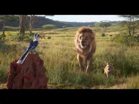 The Lion King 2019 Tv Spot 37 Tv Spot World Youtube