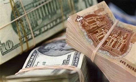 سعر الدولار مقابل الجنيه اليوم البنوك المصرية الهيئة الوطنية للإعلام
