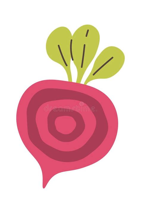 Beetroot Vegetable Slice Stock Vector Illustration Of Sliced 279404348