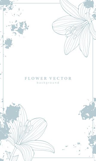파란 백합이 있는 섬세한 밝은 꽃 배경 엽서 명함 졸업장 초대장에 대한 최소한의 배경 0명에 대한 스톡 벡터 아트 및 기타 이미지 Istock