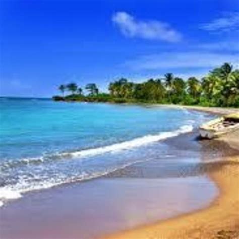 Anne Cowen And Jacob Schippers Wedding Registry On Zola