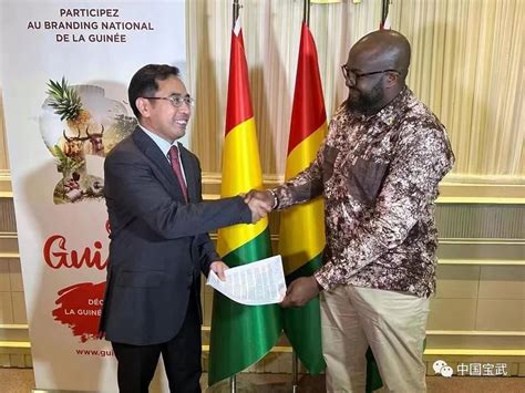 Le Projet De Minerai De Fer Simandou En Guinée A Fait Des Progrès Significatifs Services