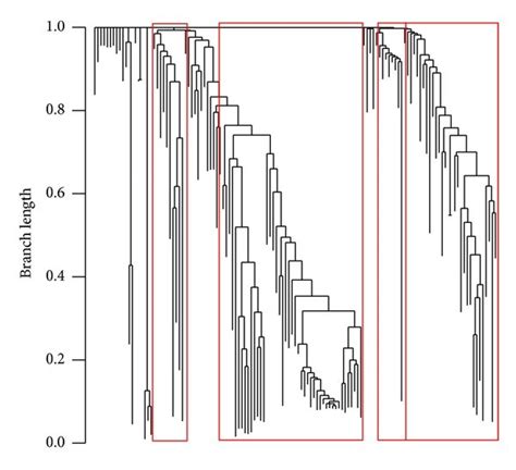 A Chimpanzee Specific Sds Are Clustered By Running Neighbor Joining