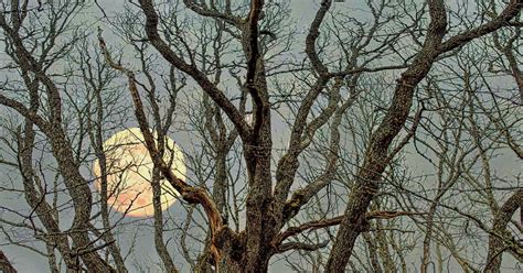 Весна в Крыму | Пикабу