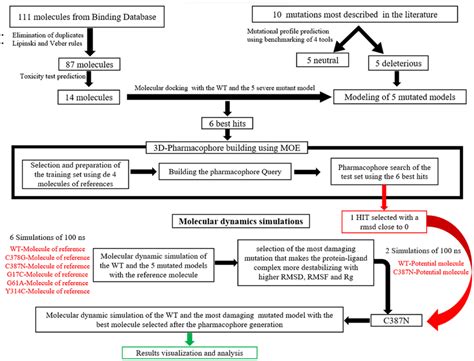 The Workflow Used In This Study Download Scientific Diagram