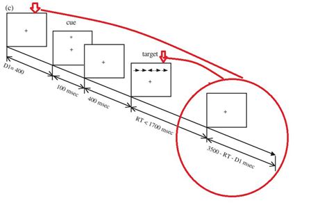 Duration Of A Fixation Builder Psychopy