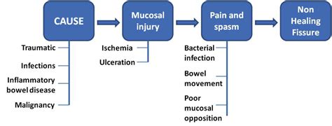 Pathology Outlines Fissure