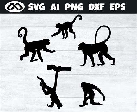 Monkey Svg Monkey Bundle Monkey Svg Monkey Clipart Monkey Etsyde