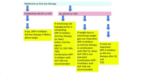 Placement Of Dpp 4 Inhibitors Into The Treatment Algorithm According