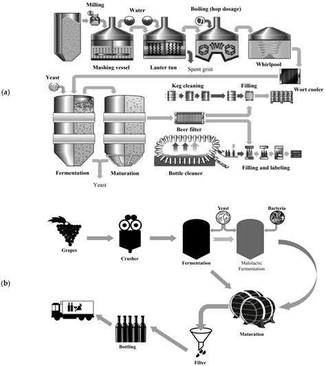 Beer Fermentation Diagram