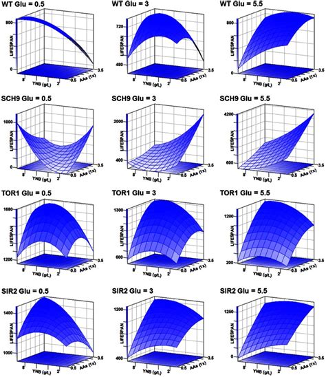 For Each Strain Three Aaynb Lifespan Plots Are Shown At Specific