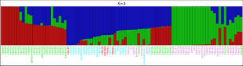 Population Structure Bar Plot Of The Hazelnut Panel For K 3 Each Download Scientific Diagram