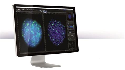 Next Generation Microscopy Image Analysis With Deep Learning Technology Technology Networks