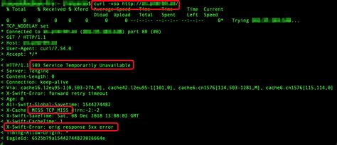 A 503 Error Is Reported When Accessing The Cdn Domain Name Due To