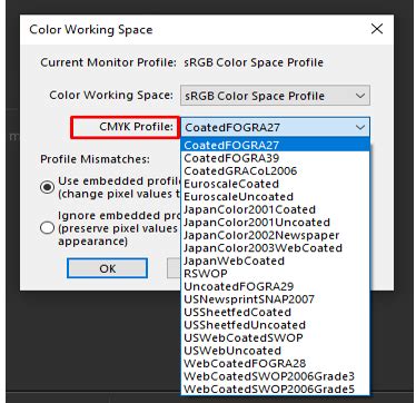KB Corel PaintShop Pro Changing Color Working Space And CMYK Profile