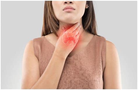 Thymus Vs Thyroid Location Functions Disorders Differences Your