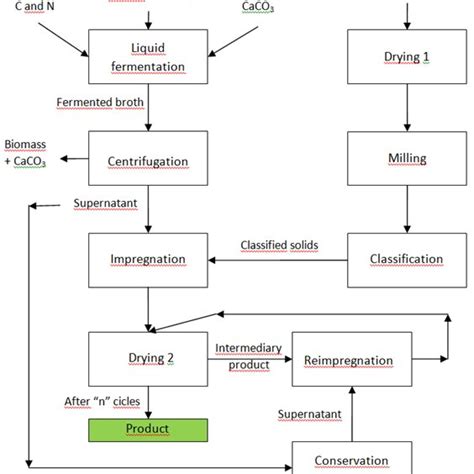 Schematic View Of The Proposed Process To Obtain An Enriched L Lysine