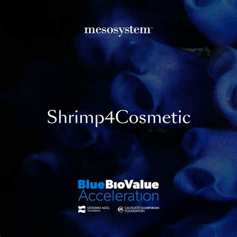 Mesosystem S A On Linkedin Mesosystem Circularbioeconomy