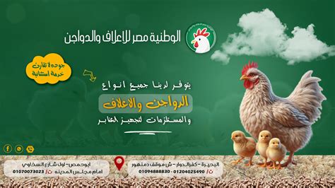 ارانب الخواجة إشارة لجميع ارانب الخواجة Facebook