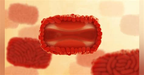 Who Releases A Strategic Framework For Enhancing Prevention And Control Of Mpox Medical