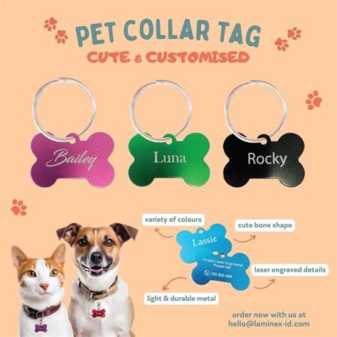 Smart Id Card Printer Added A New Smart Id Card Printer