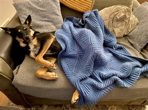 Living His Best Life Rkelpie