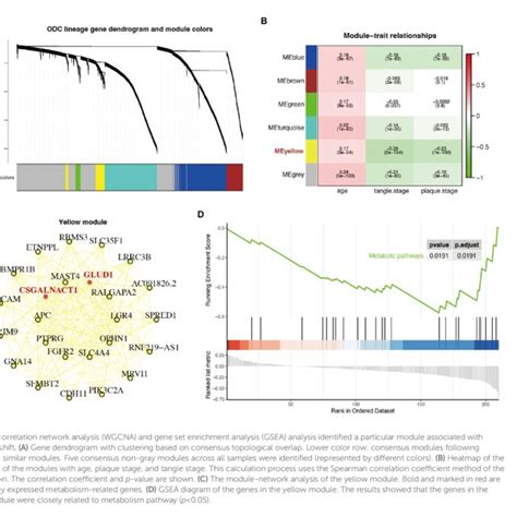 Single Nucleus Transcriptional Landscape Of Ad A Flow Chart Of The