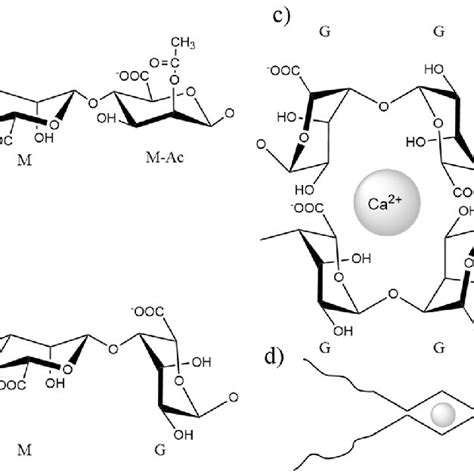 Alginate Structure A M Block One Residue Is O 2 Acetylated B