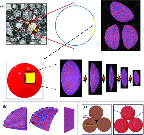 scheme 2 a visualizing the hollow structure with lammps b the