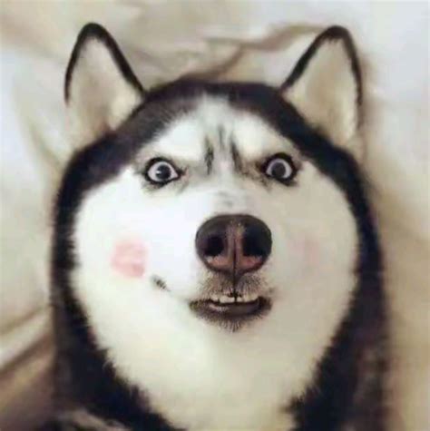 感情升溫的方式原來是吵架？ 小p不是老师 Facebook